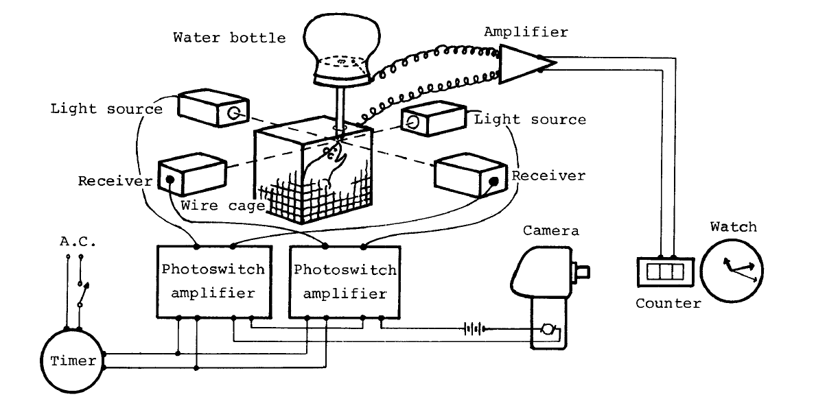 DIY Lickometer: Measuring fast licks from a small tongue – BRIAN R. ISETT
